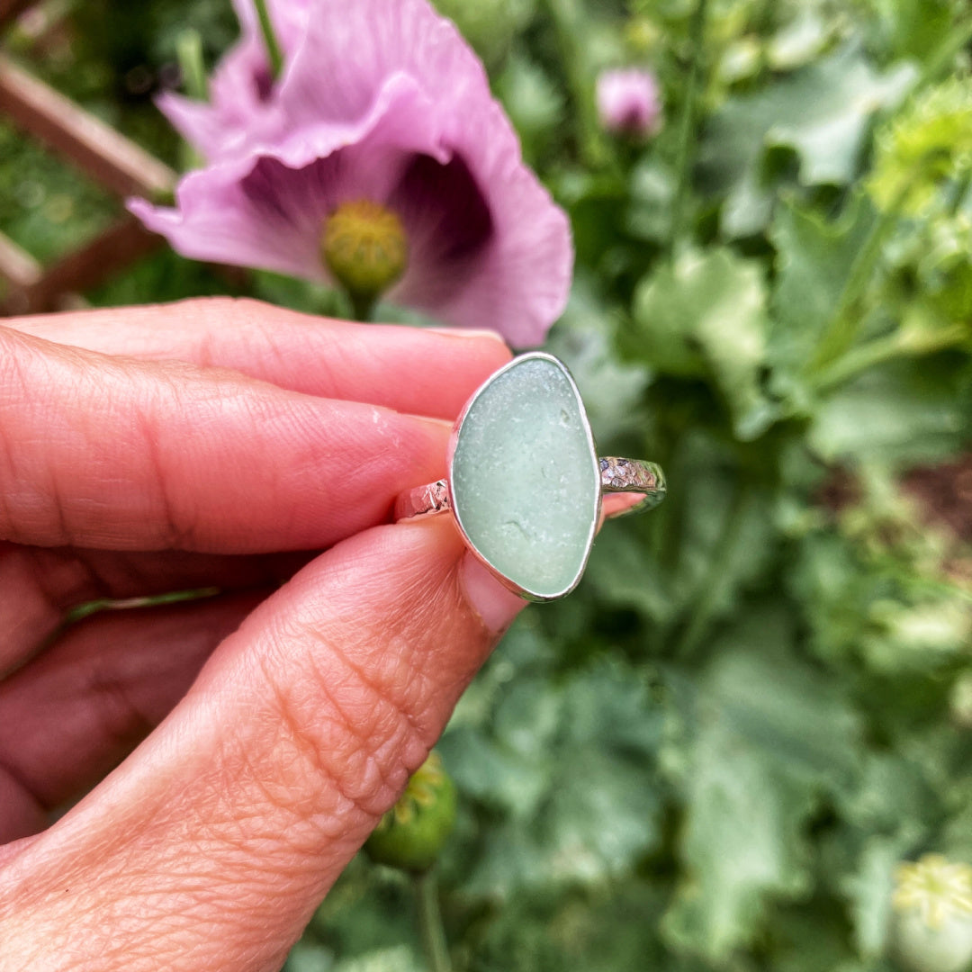 Rings – Surf & Scout